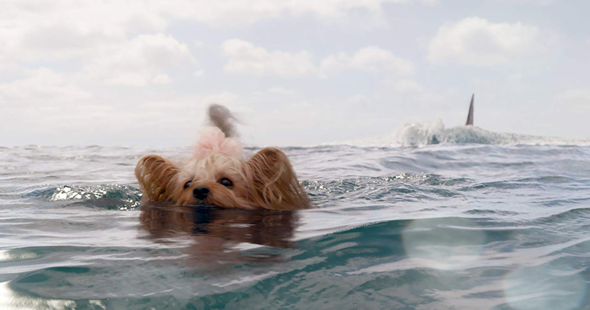 Review: The Meg - Big Red Barrel